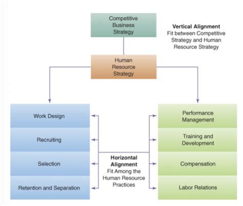 Chapter 14 Aligning Strategy With Practice Flashcards Quizlet