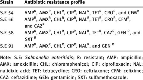 Antibiotic Susceptibility Patterns Of Salmonellae Download Scientific