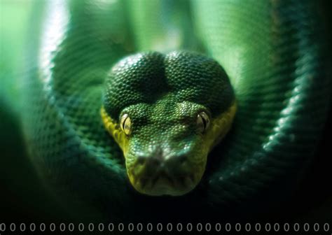 Morse Code In Python 7 11 — Minds Underground