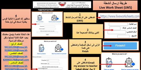 دورة حياة النباتات البذريةالزهرية والابذريةالازهرية