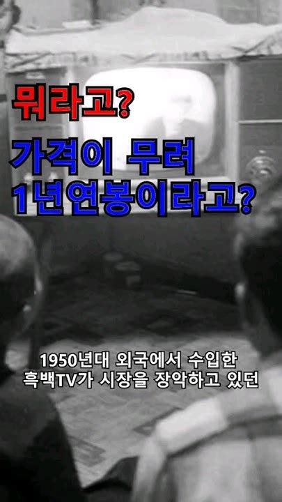 뭐라고 가격이 무려 1년연봉이라고 진짜 Tv Television 티비 Youtube