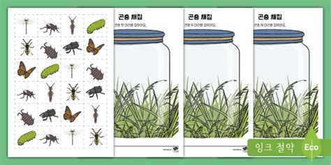 1 20 곤충 채집 숫자 세기 활동 Bugs In A Jar Counting To 20 Activity