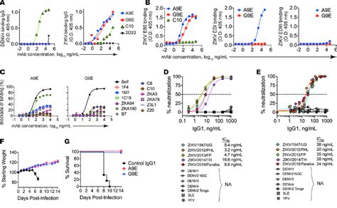 Mabs From Primary Zikv Case Exhibit Potent Zikv Specific Neutralization