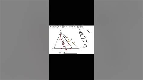 중2 2 기말고사 대비 도형의닮음 삼각형의 무게중심 외심 넓이 Youtube