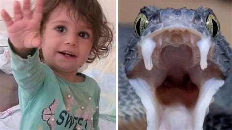 Mentre Si Trova In Giardino Il Serpente Morde Una Bambina Piccola Lei