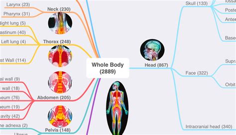 A Curated Set Of Anatomic Location Tags To