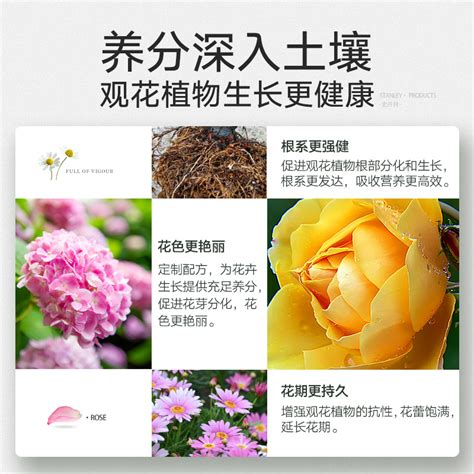 栀子花肥料专用肥酸性防黄叶营养包邮开花肥绿叶盆栽植物园艺肥 虎窝淘