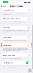 4 Ways To Enable Or Disable Grayscale On IPhone And IPad And Why Gadgets To Use