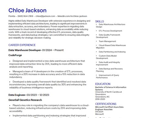Data Warehouse Developer Cv Examples Free Templates