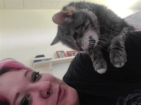 Ive Lost Both Of My Bb Kitties Within A Month Album On Imgur