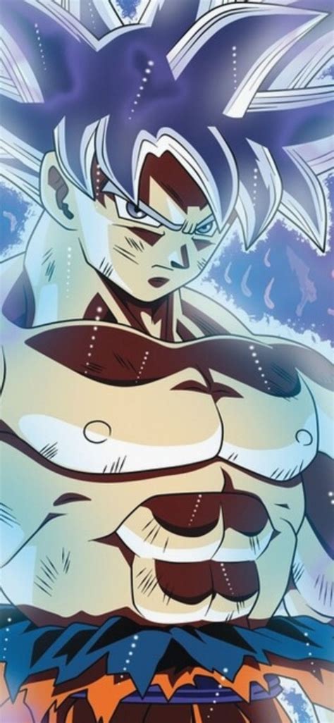 Dragon Ball Z Mon Gars