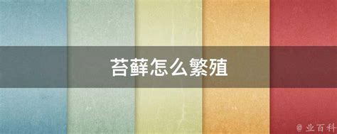 苔藓怎么繁殖 业百科