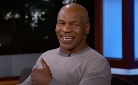 Man On Airplane Annoys Mike Tyson Gets Punched For It