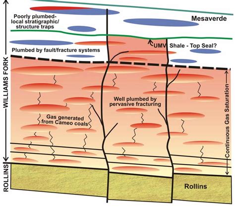 Schematic Cross Section Illustrating Key Features Of The