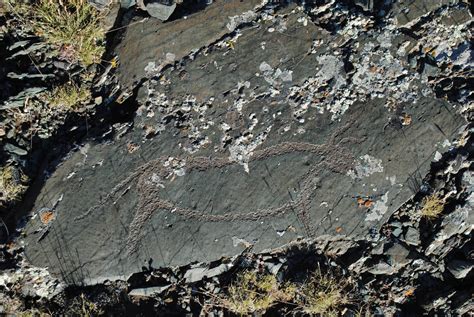 ЮНЕСКО ийн Монголын Үндэсний Комисс