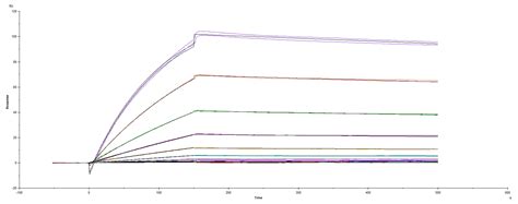 Recombinant Sars Cov 2 V483a Spike Rbd His Tag Protein Cf 10628 Cv 100