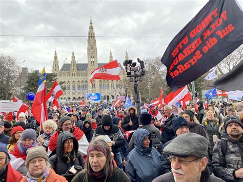 Сотни человек вышли на митинг против поддержки Украины в Вене