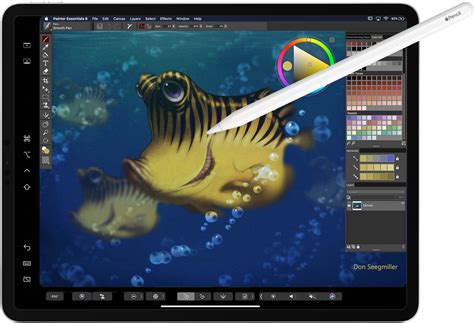 Corel Painter Essentials 20 Discount 2025 100 Working
