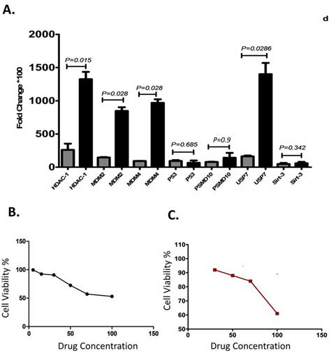 Thep53 Inhibitor Genes Expression And Toxicity Assays Of Gne6776 A