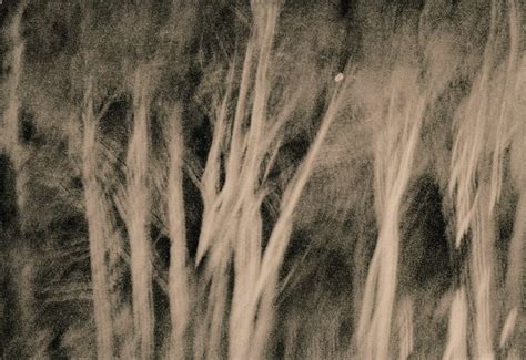 Galeria Fotogràfica Ilmondo Andrei Fărcășanu Genesis The Eye Of Photography Magazine