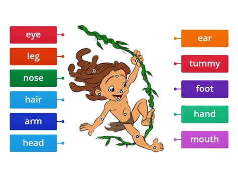 Chapter 1 My Body Diagram Berlabel