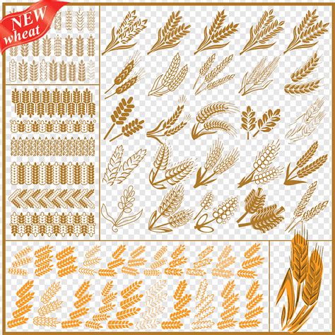 Wheat Ear Png PNGEgg