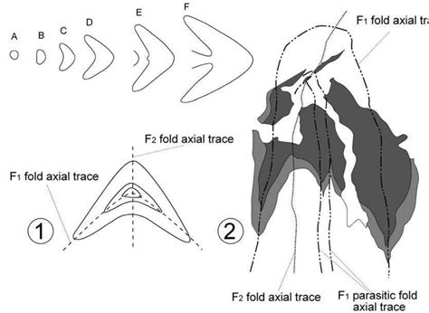 Cartoon Showing The Fold Interference Pattern Resulting From