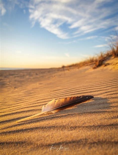 Feather Album On Imgur