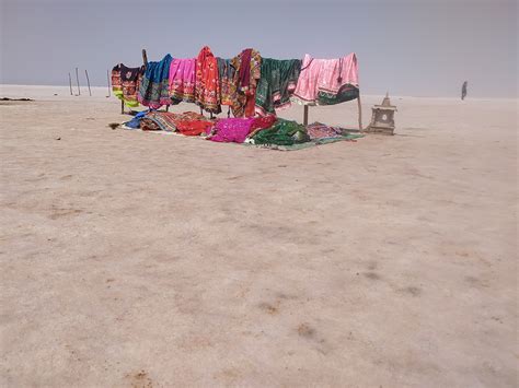 Dholavira Traverses Maintaining Life In Harsh Environments