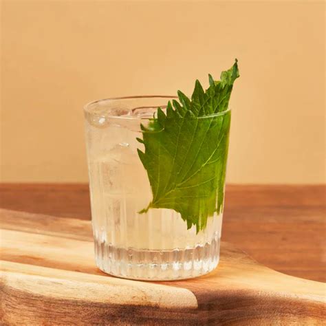 Jnpr Complète Sa Gamme Et Lance Jnpr N°3 Une Nouvelle Création Sans Sucre Viacomit