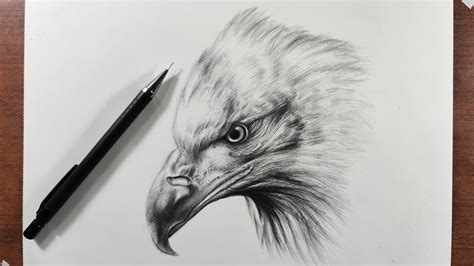 Como Dibujar Realista A Lapiz Los Fundamentos B Sicos Son F Ciles De