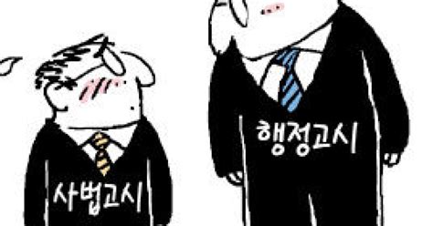 6급 주사로 내려앉은 변호사 사법시험이 行試보다 아래