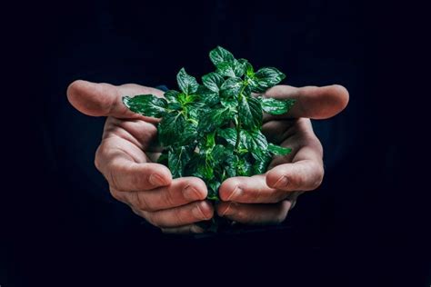 O que é bioética e qual sua importância eCycle