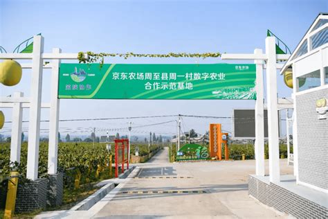 聚焦 从 周一村三问”说起张亭周至县猕猴桃