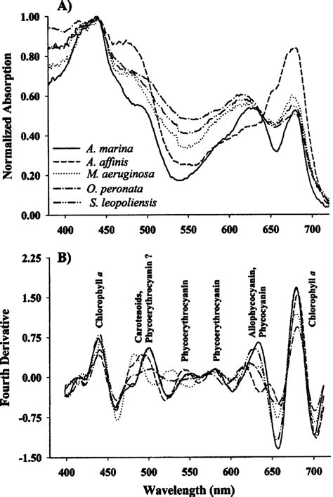 Representative Absorbance Spectra And Corresponding Spectral