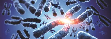 Whole Genome Sequencing In Disease Samples With Haplotype Resolved And