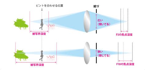 弘前公園カメラ部 桜をアップで撮る【絞りと被写界深度を学ぶ】 弘前公園総合情報