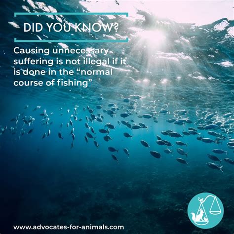 Fish Under The Control Of Humans Are Protected Under The Animal