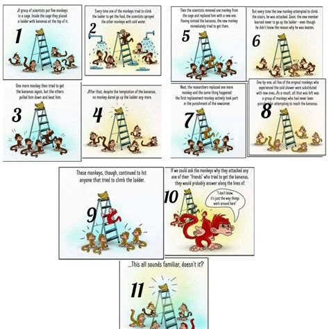 Sinvula Sibela On Linkedin Ihavesomethingtosay