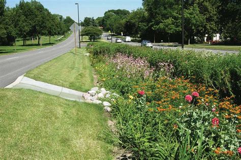 Rain Garden Aerial View