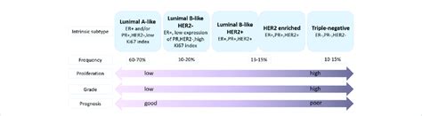 Classification Of Molecular Subtypes Of Breast Cancer Harbeck Et Al