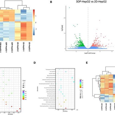 Liver Related Protein Expression In The 3D Bioprinted Liver Cancer Cell