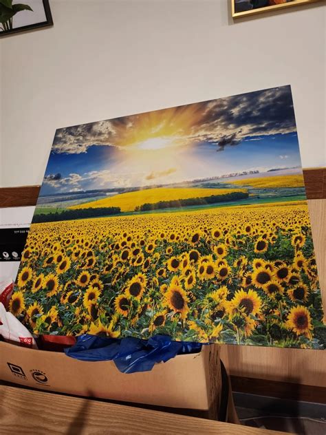 그림 당근 중고거래