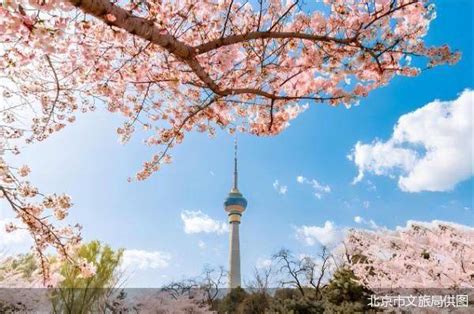 北京发布10条“春花烂漫主题游线路”桃花活动梨花