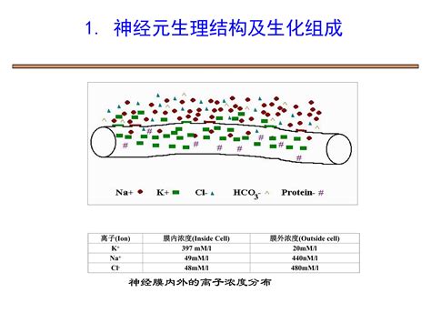 信号与系统陈后金第九章：信号与系统在生物医学中的应用 哔哩哔哩