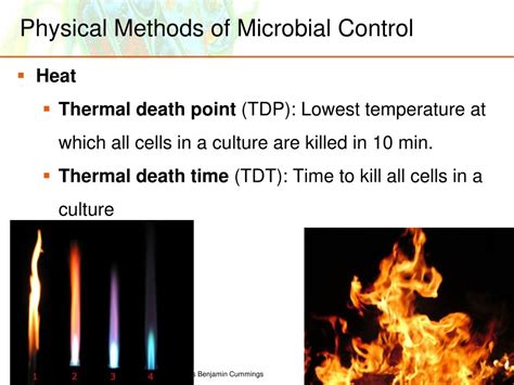 Ppt The Control Of Microbial Growth Powerpoint Presentation Free