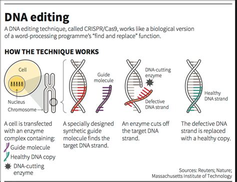 Insights Into Editorial How Safe Is Crispr Insightsias