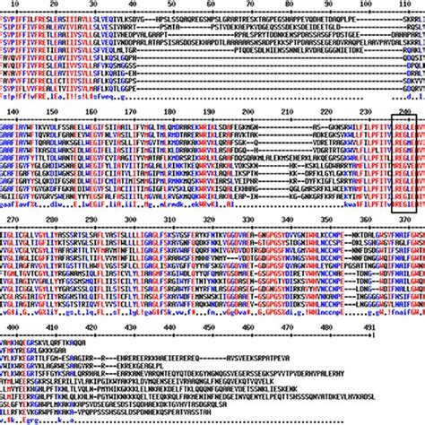 Multiple Sequence Alignment Analysis The Multiple Alignment Analysis