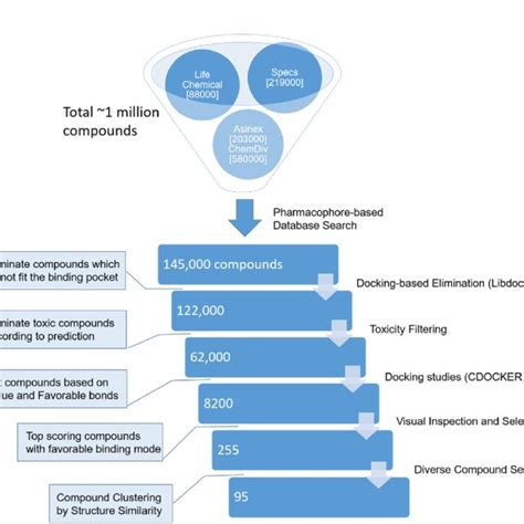 General Overview Of The Virtual Screening Workflow Download