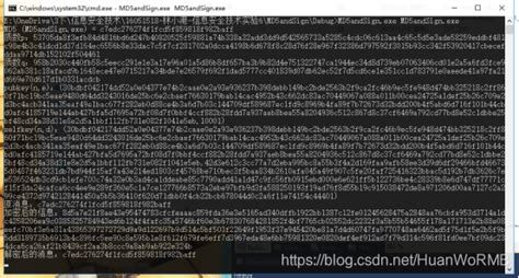 信息安全实验六：rsa数字签名算法 20190601mpir 函数 Csdn博客